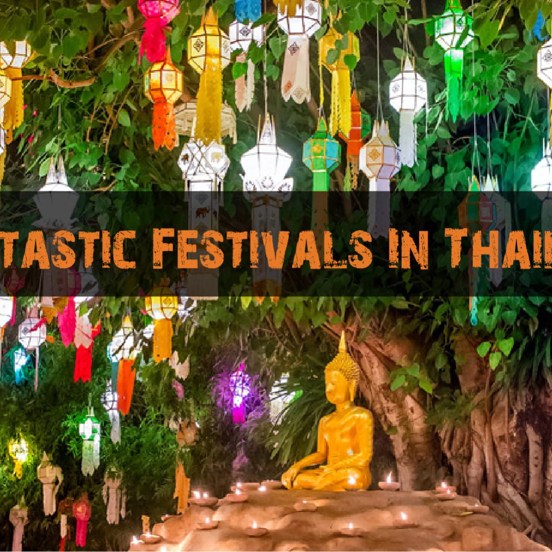 What Are The Best Festivals In Thailand?